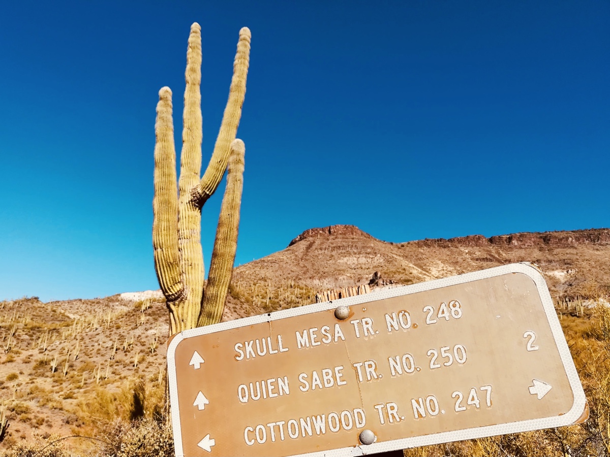 Third time's not always the charm